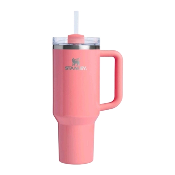 Stanley | Dining | Stanley 4oz Coral Fixation Tumbler Elf New Target ...